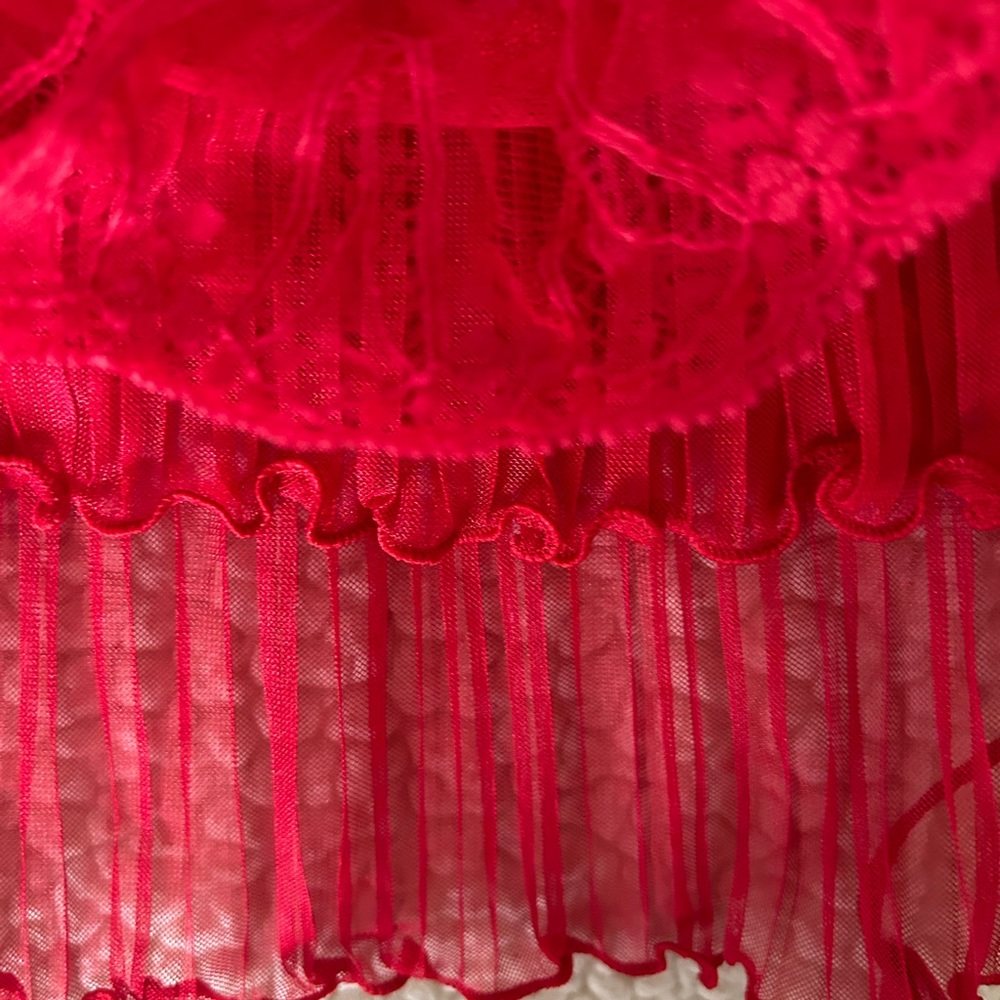 Agent Provocateur Red Waspy Belt - Gem